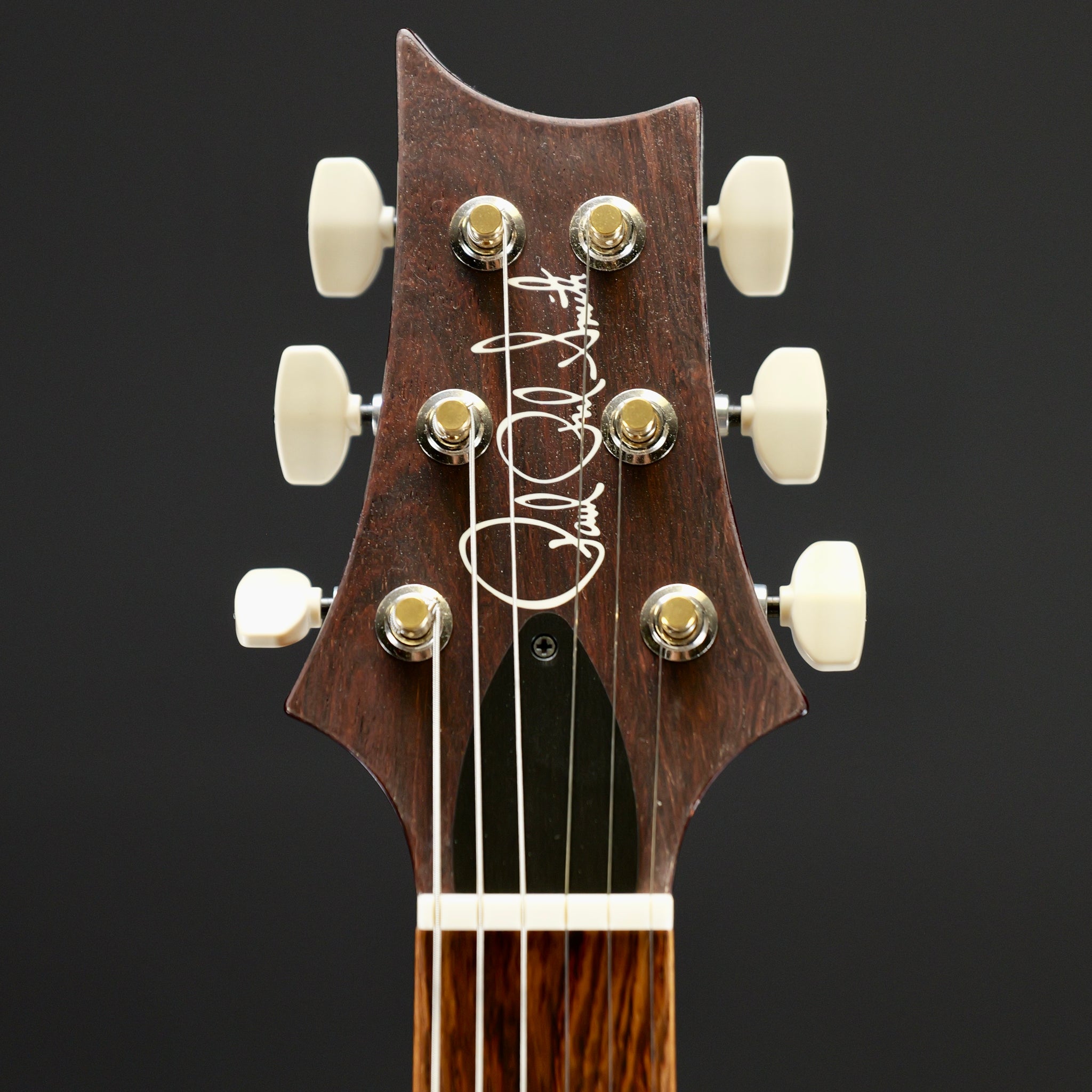 PRS Paul's Guitar Custom Color – Matt's Guitars
