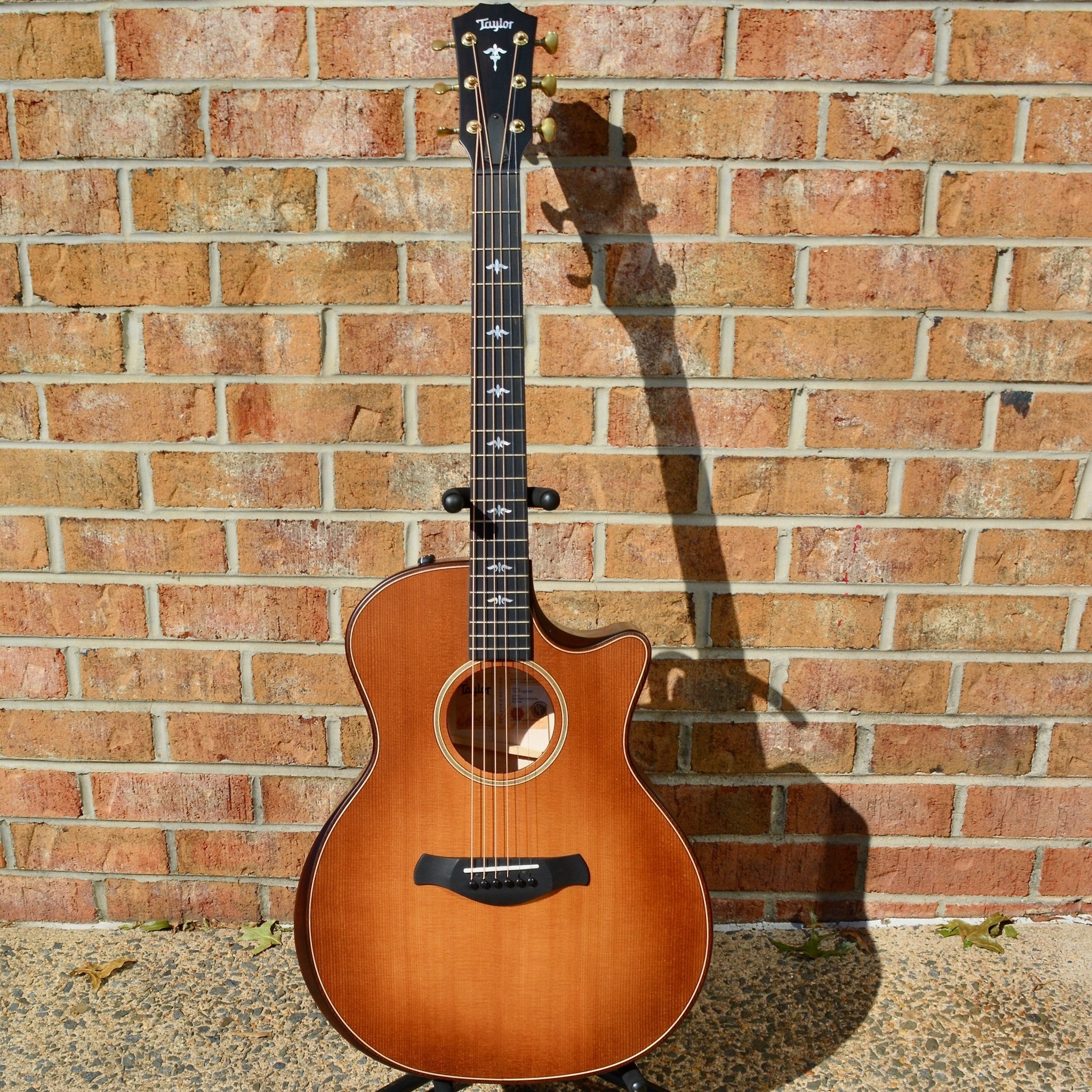 Taylor Builder's Edition 614ce WHB – Matt's Guitars